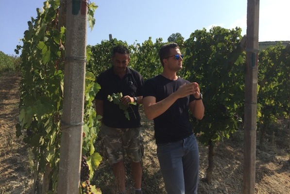 Gaja – a family affair | Jancis Robinson
