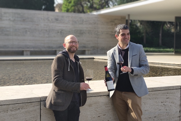 Fuentes del Silencio, Las Jaras 2016 VdT Castilla y León | Jancis Robinson