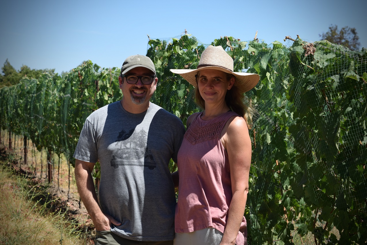 WWC20 – Solminer, California | Jancis Robinson