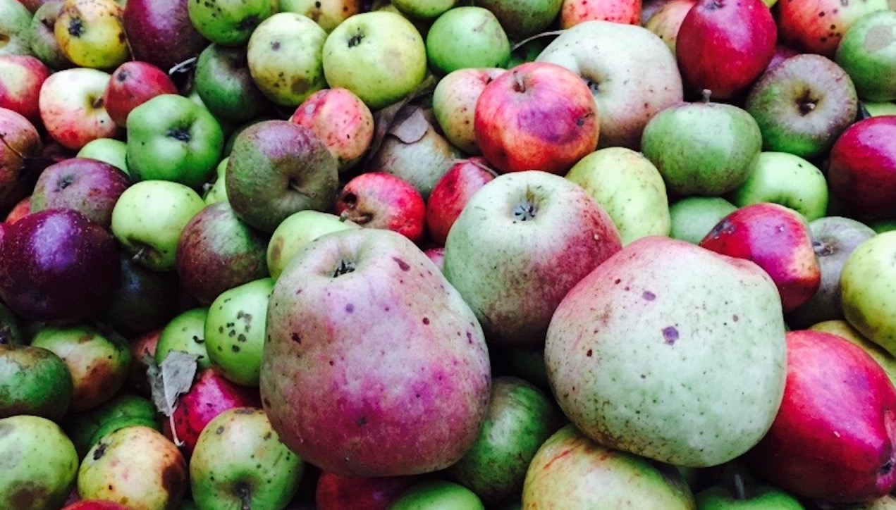 Cider styles explained | Jancis Robinson