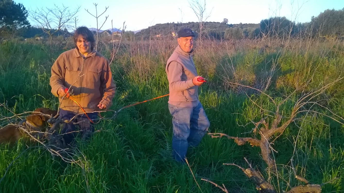 Sclavos, Vino di Sasso 2019 Robola of Cephalonia | ジャンシス・ロビンソン