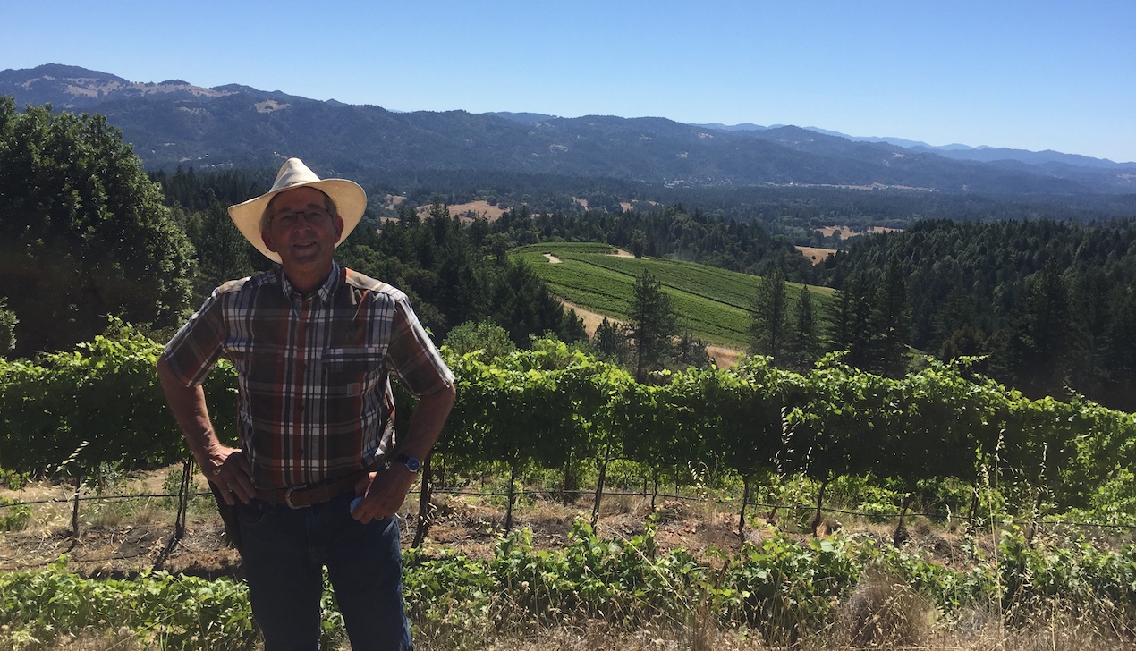 A quest for conservation viticulture – part 1 | Jancis Robinson