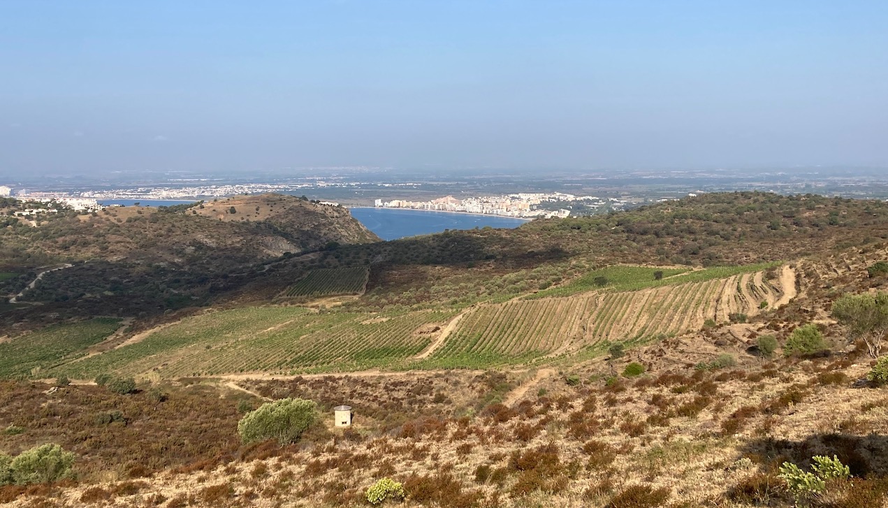 Empordà – reviving Catalan heritage | Jancis Robinson