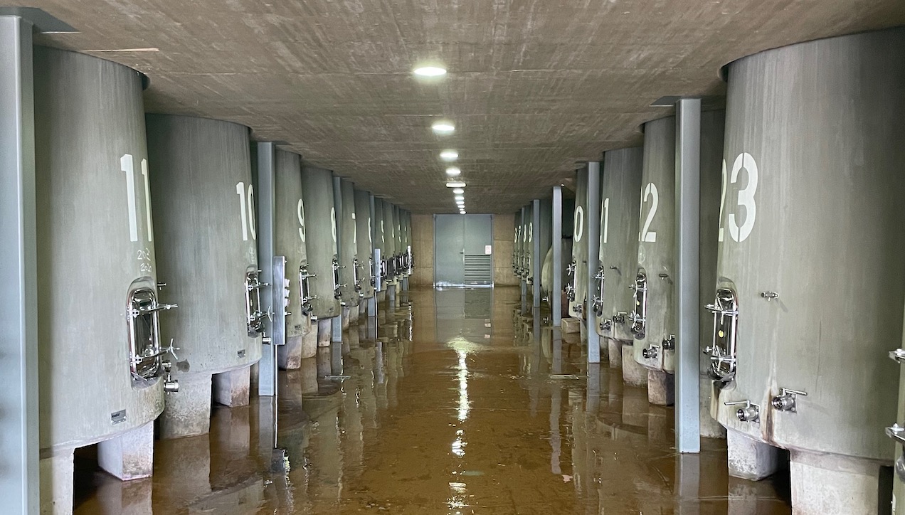 Concrete evidence | Jancis Robinson