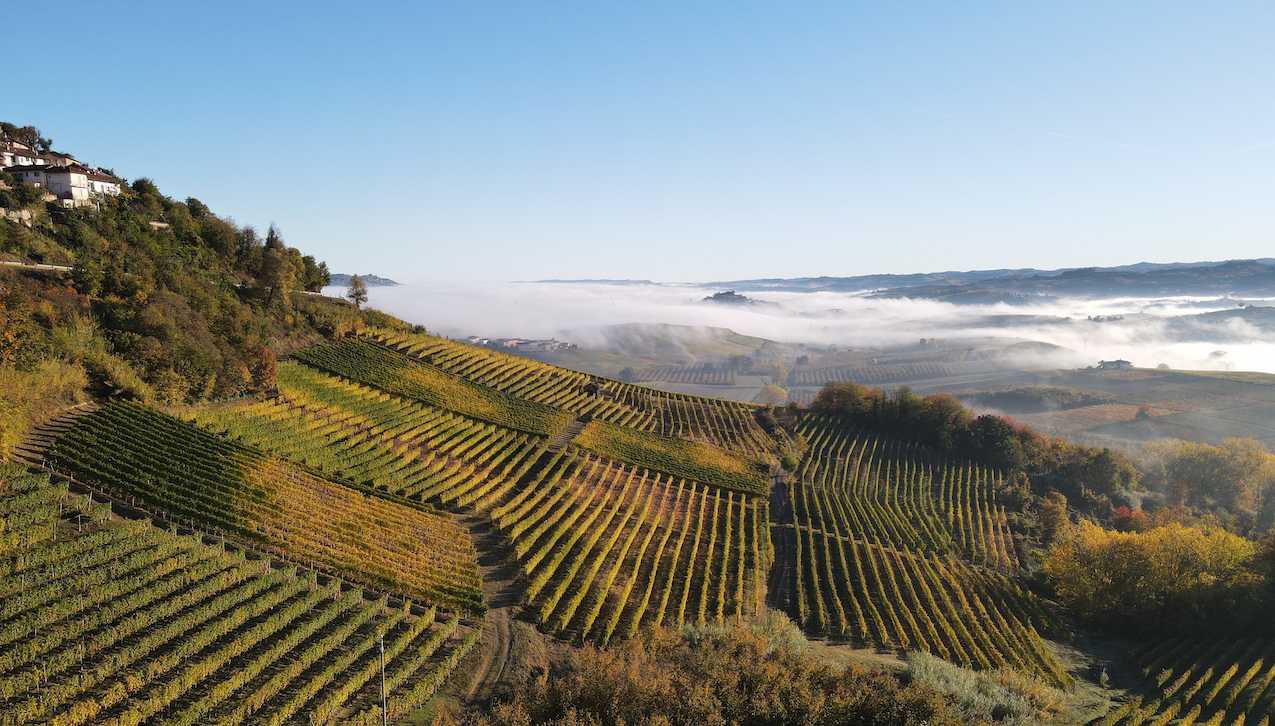 Fratelli Alessandria Speziale Pelaverga 2020 Verduno | Jancis Robinson