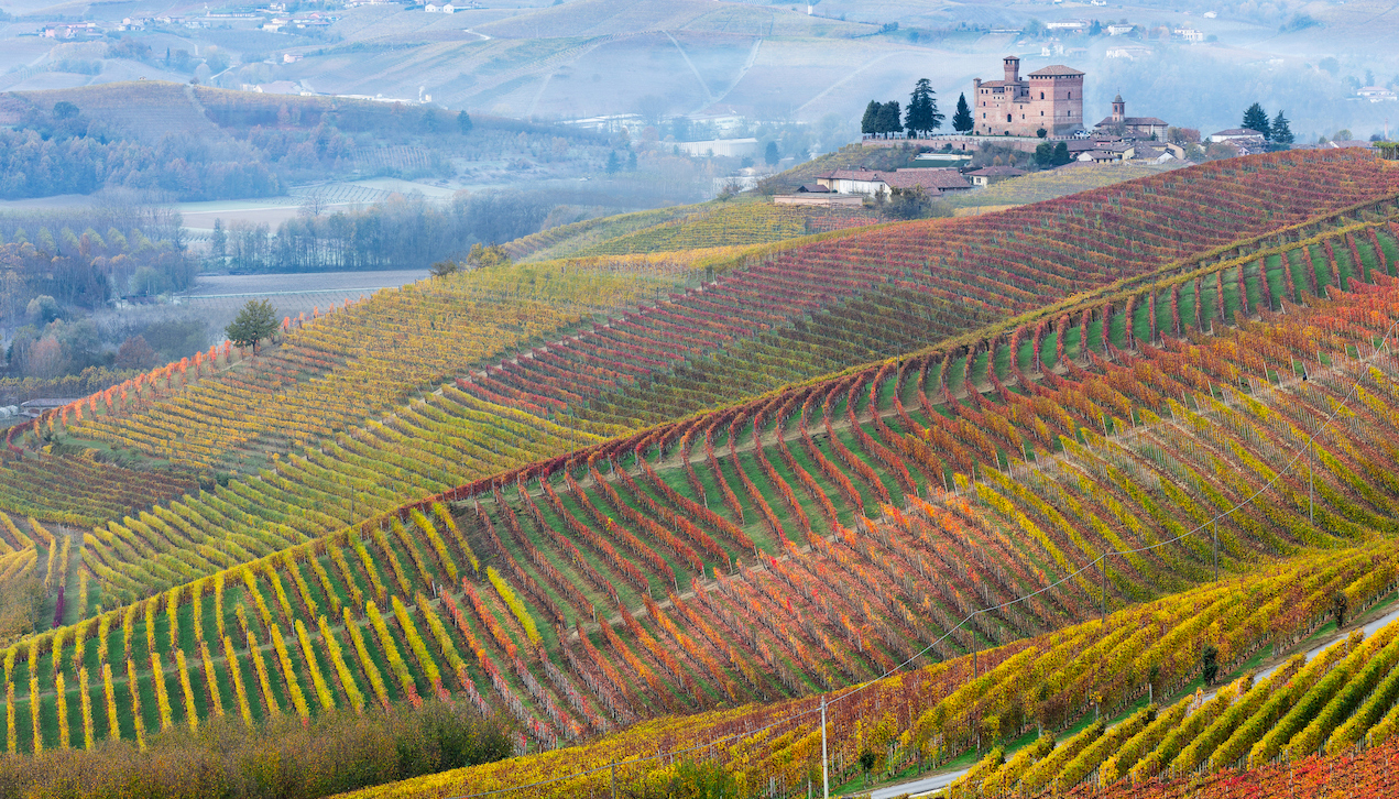 Barolo 2018 – a final report | Jancis Robinson