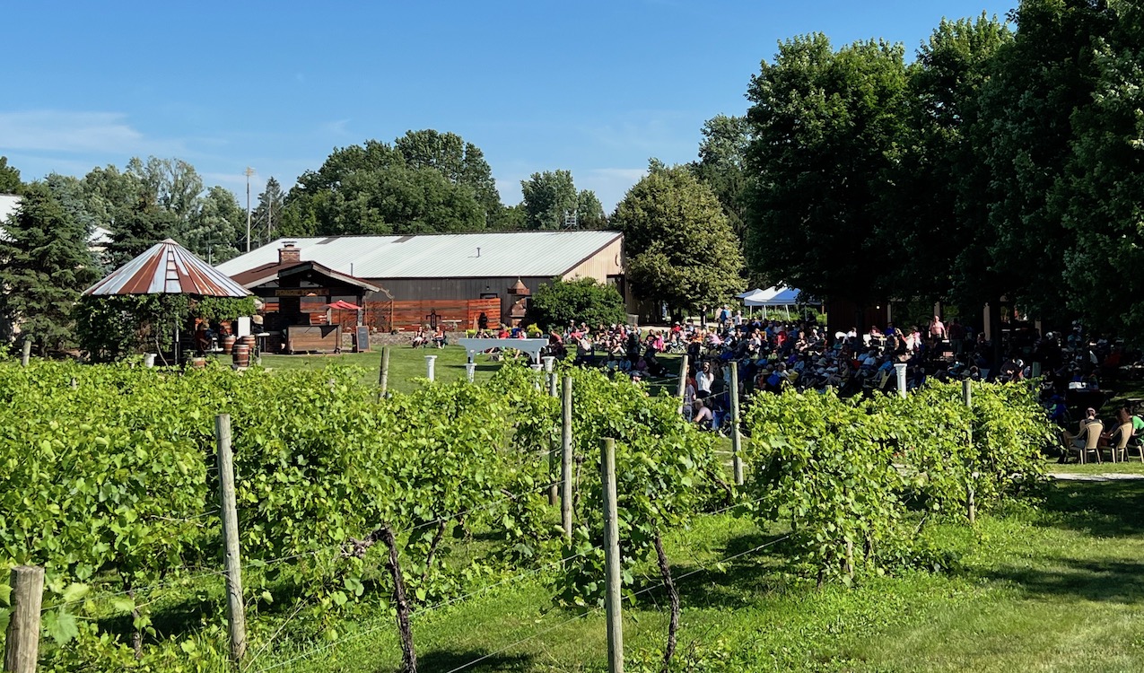 WWC22 – Donna Moyer | Jancis Robinson