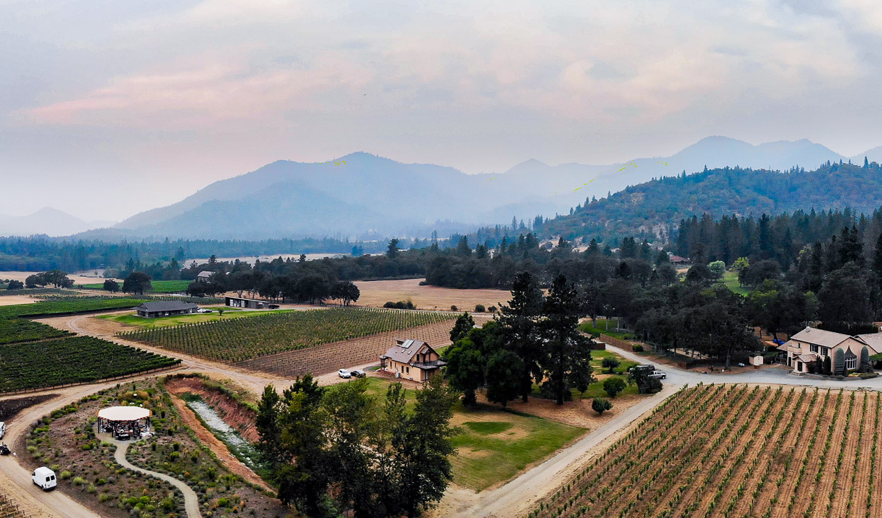 WWC22 – Jeff Burrows | Jancis Robinson