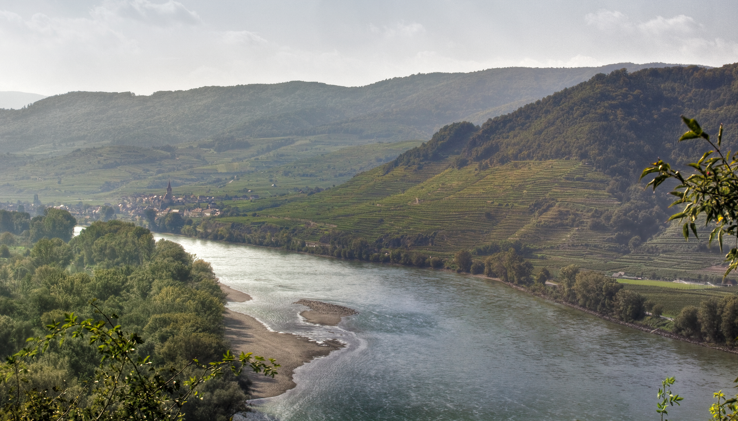 Some top Austrian 2022 releases | ジャンシス・ロビンソン