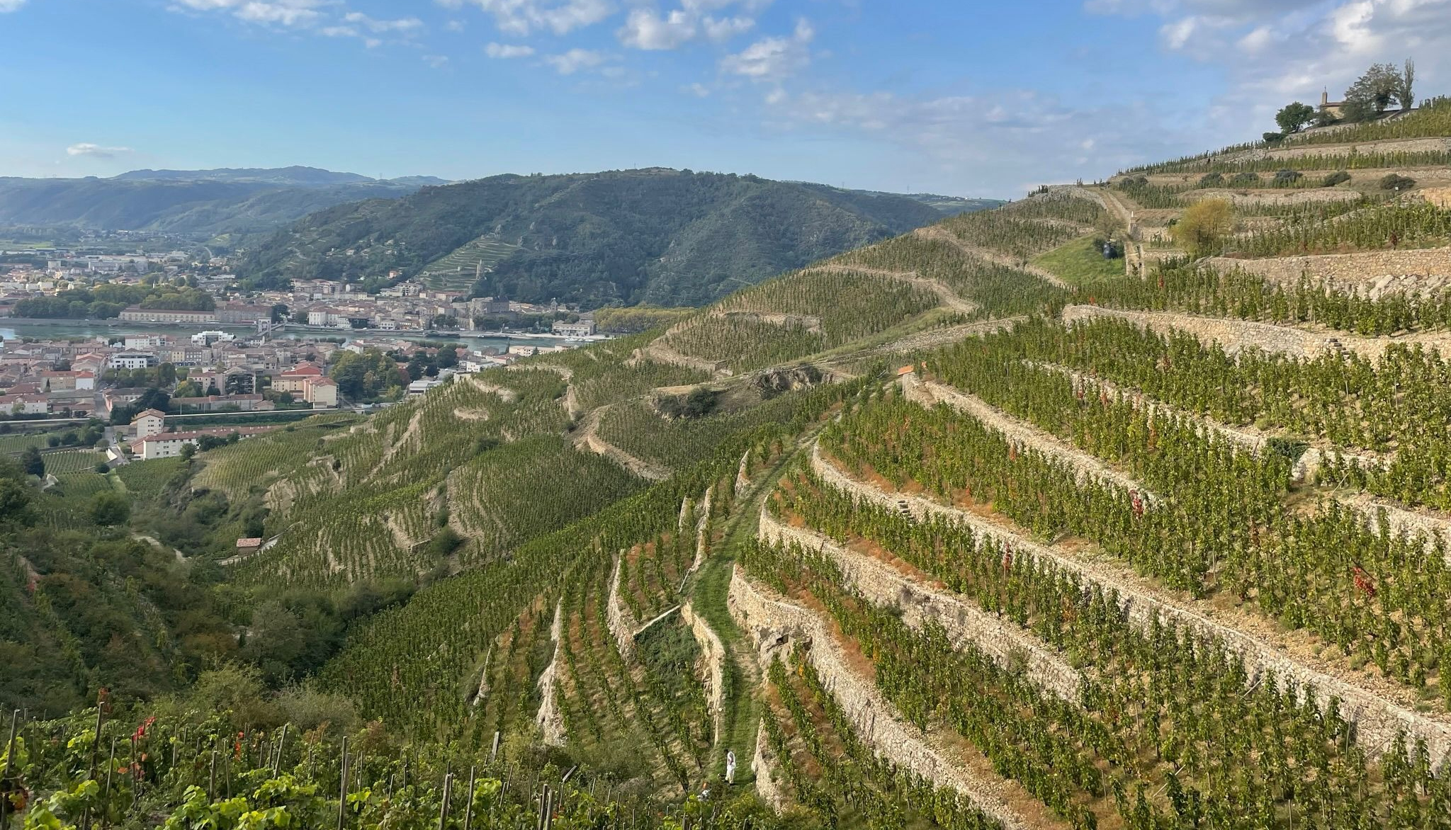 Rhône 2021 – red Hermitage, Côte Rôtie and Cornas | Jancis Robinson