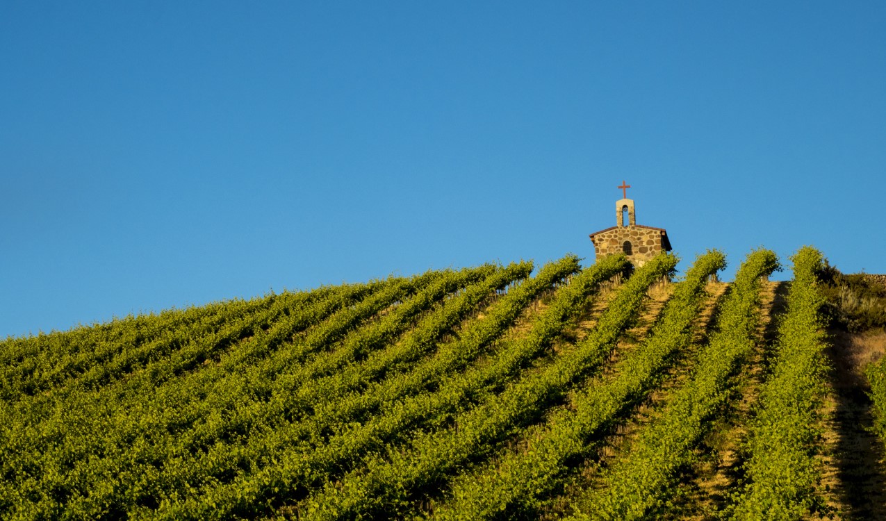 Stannary Wine's cool US collection | Jancis Robinson