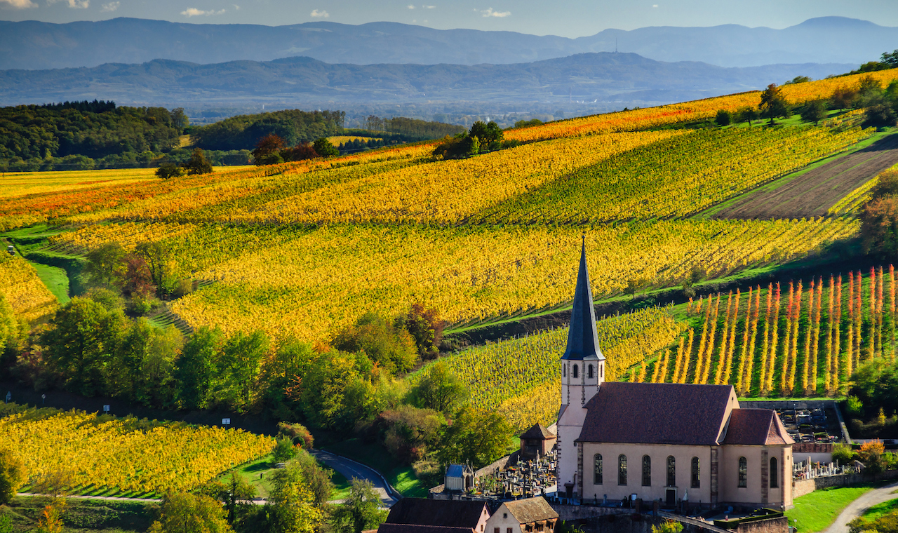 Alsace Millésimes – the Rieslings | Jancis Robinson