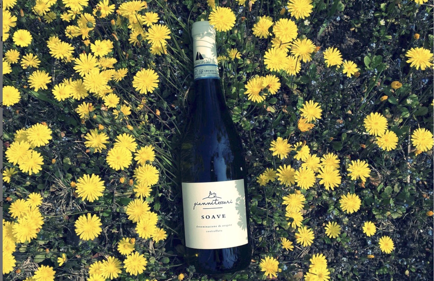 Giannitessari 2021 Soave | Jancis Robinson