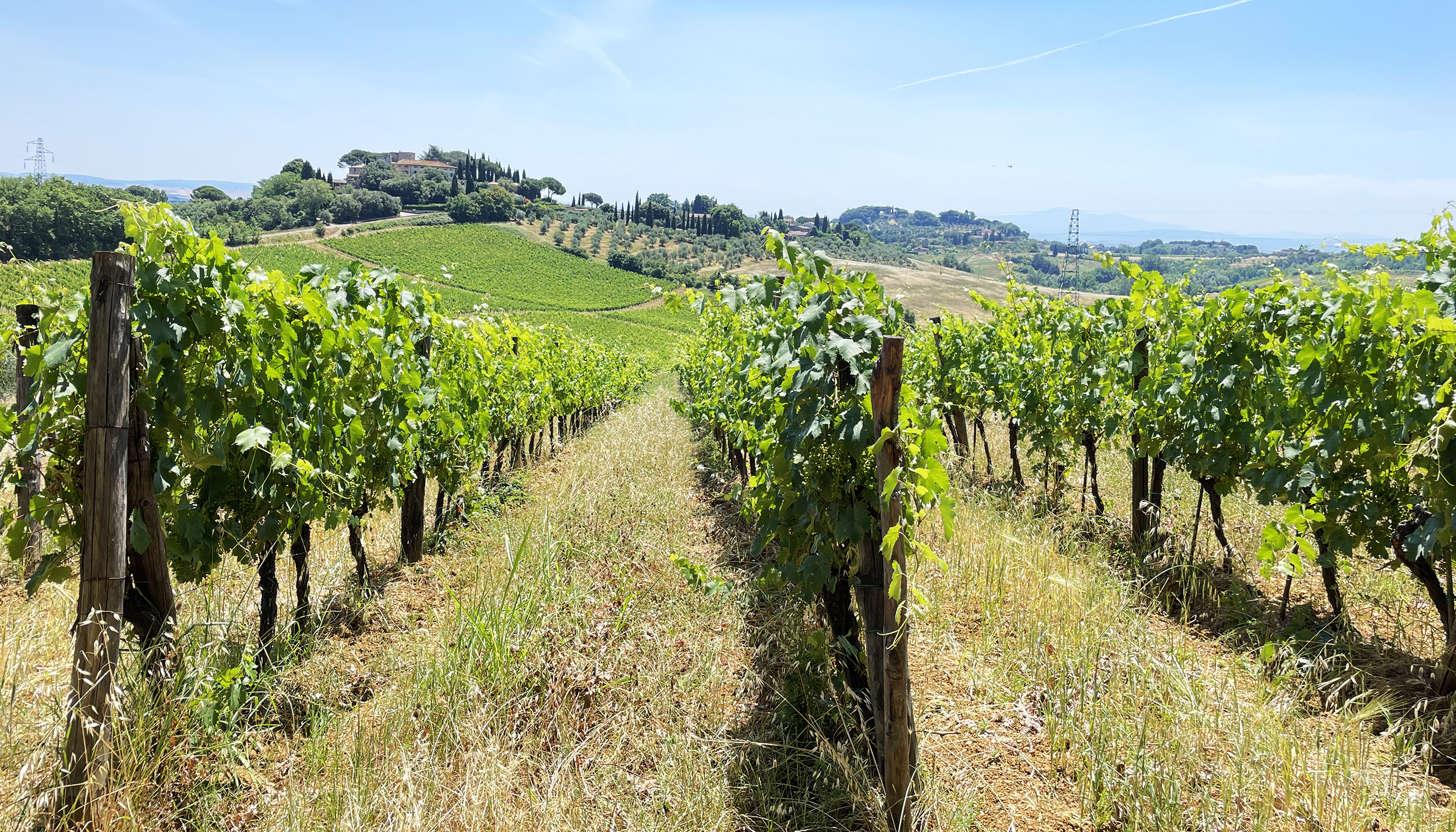 Italian new releases 2023 – the centre | Jancis Robinson