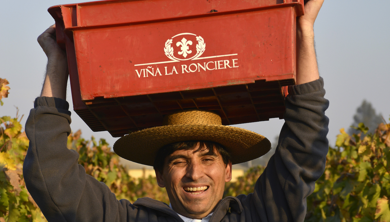 La Roncière, Idahue Estate Malbec 2021 Licantén | Jancis Robinson