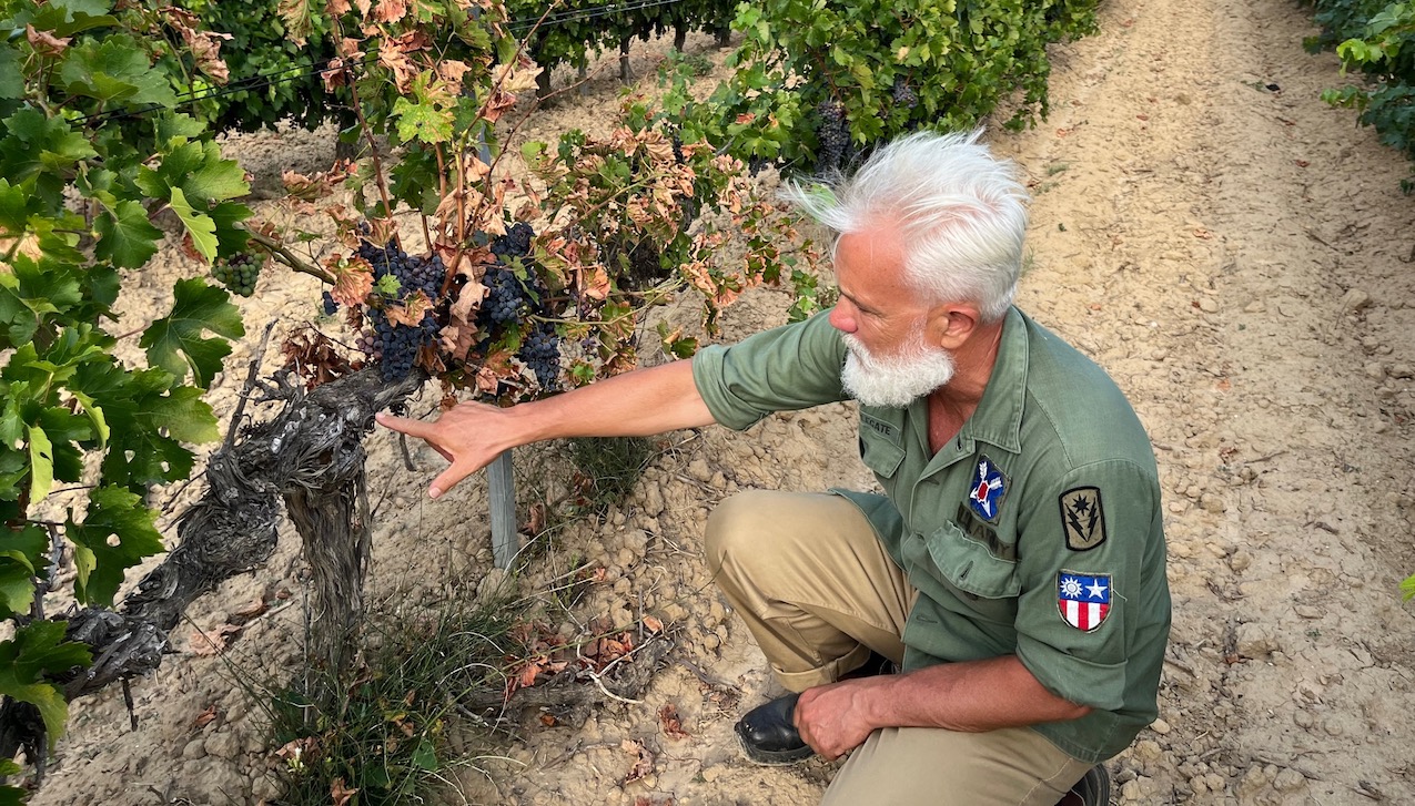 Marco Simonit – pruning superstar | Jancis Robinson