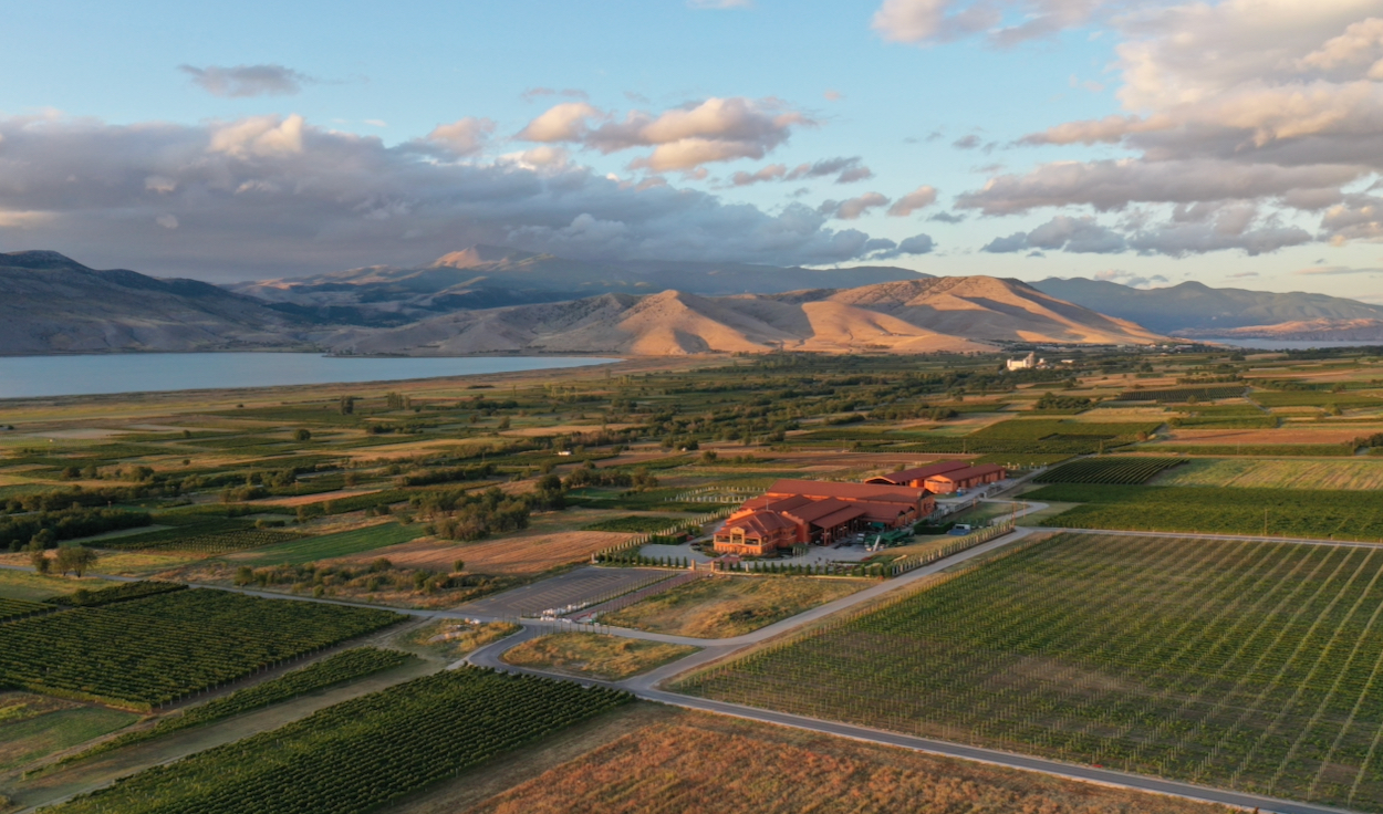 Alpha Estate, Hedgehog Xinomavro 2021 Amyndeo | Jancis Robinson