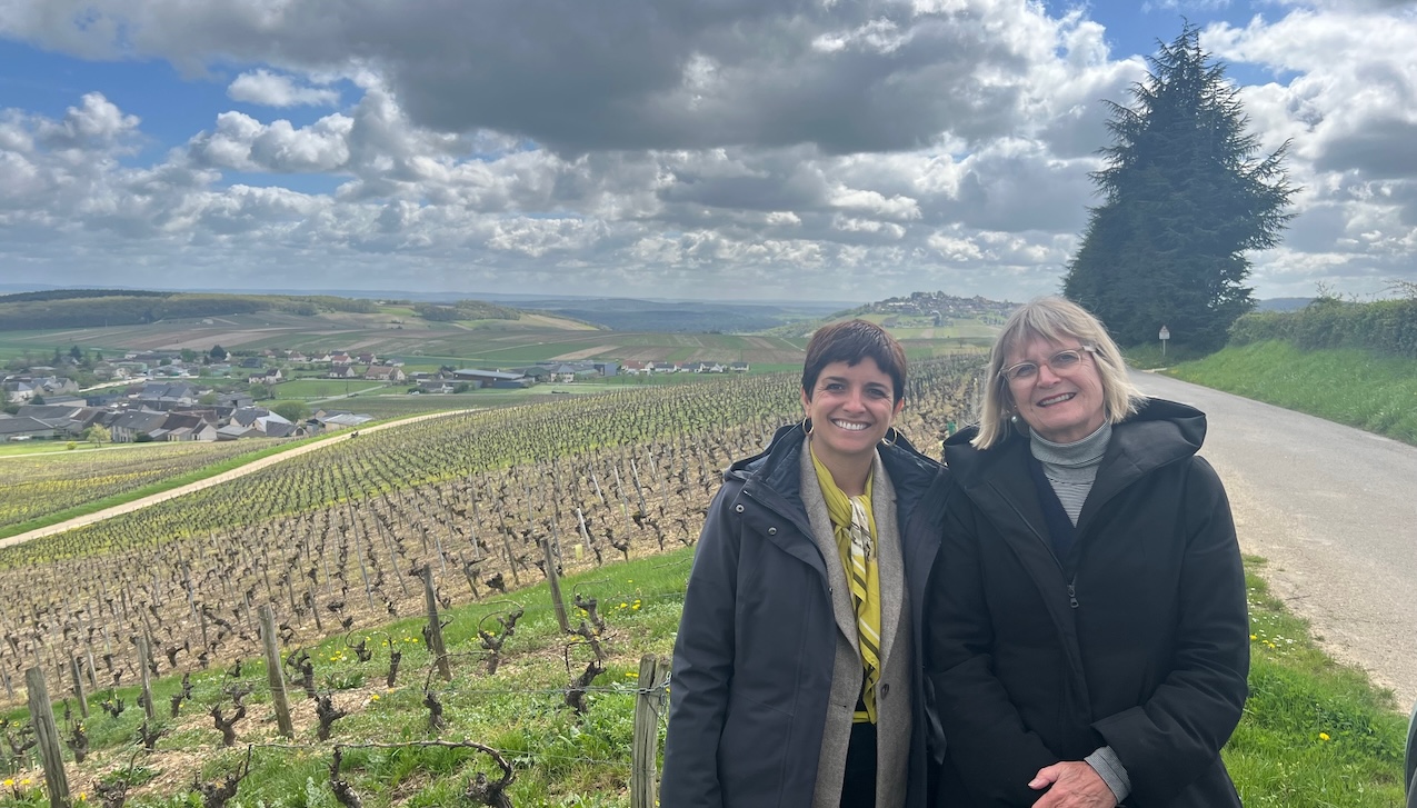 The greening of Sancerre | Jancis Robinson