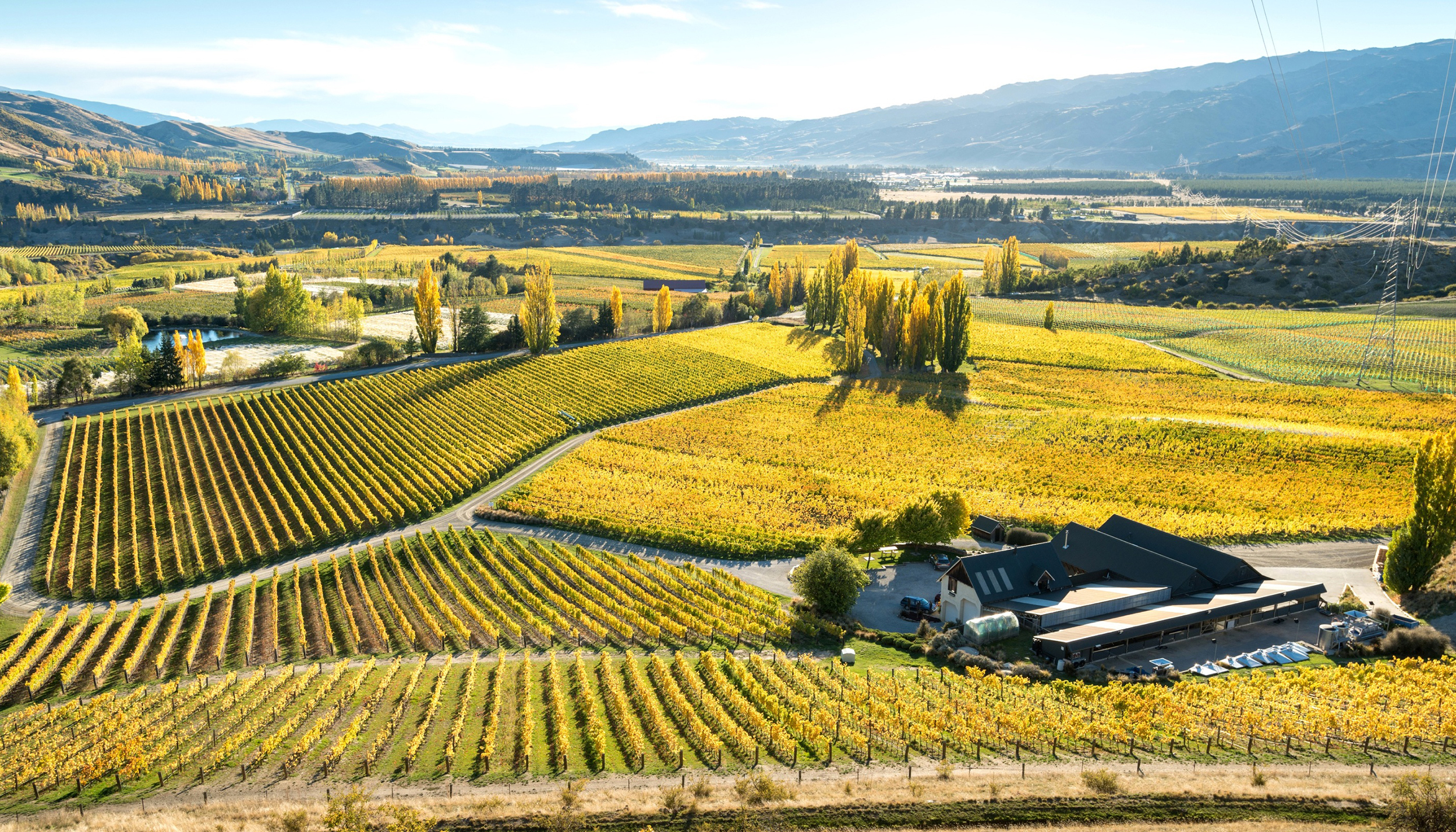 A carbon-cutting wine-buying guide | Jancis Robinson