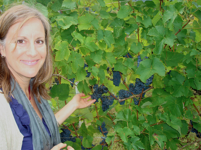 WWC24 – Why Spain? by Deborah Hansen | Jancis Robinson