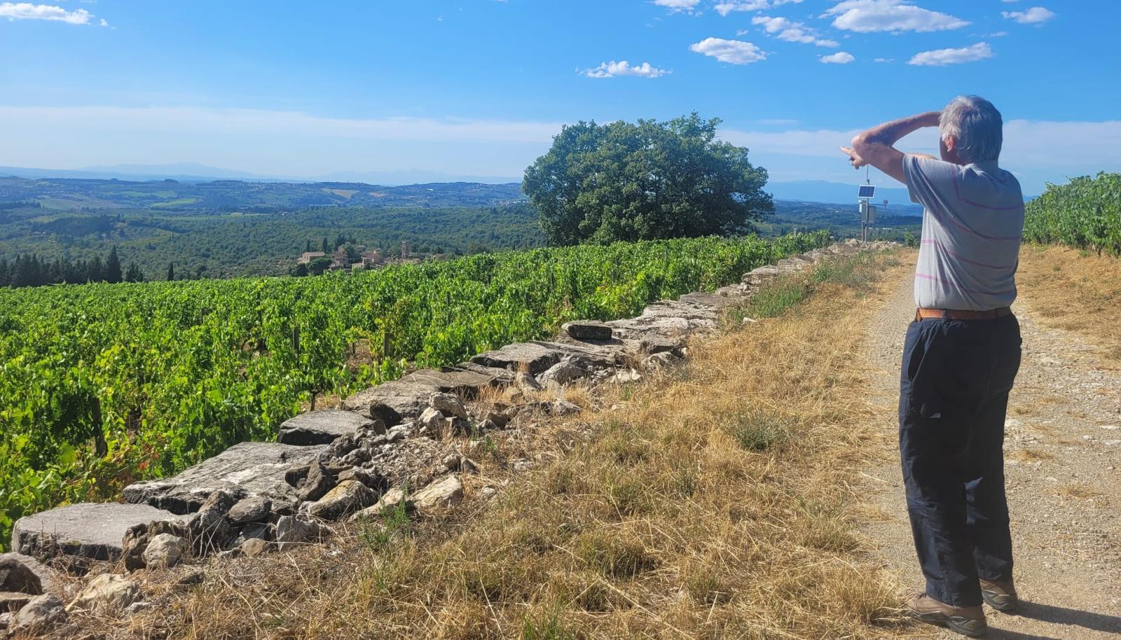 WWC24 – 'I don't want to be a statue', by Emilie Aspeling | Jancis Robinson