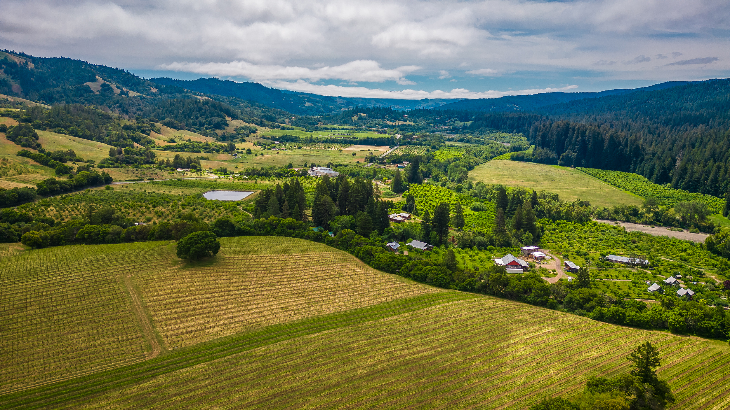 Anderson Valley Pinots soar | Jancis Robinson