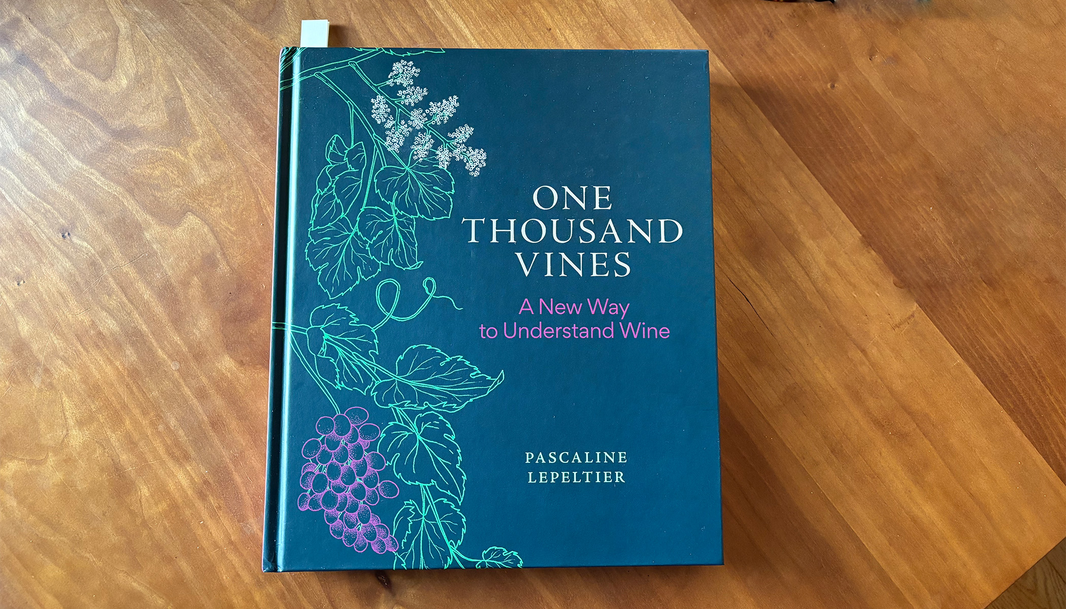 One Thousand Vines – essential reading | Jancis Robinson