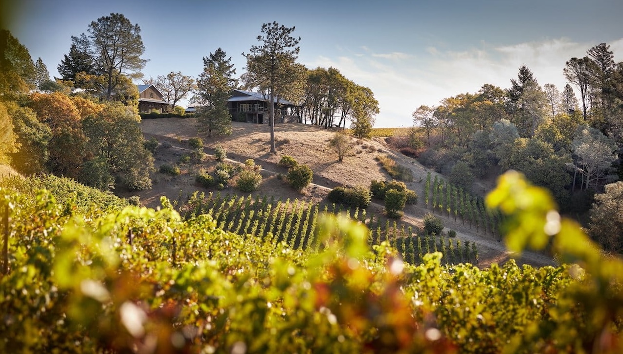 Outpost and Cathiard Vineyard | Jancis Robinson