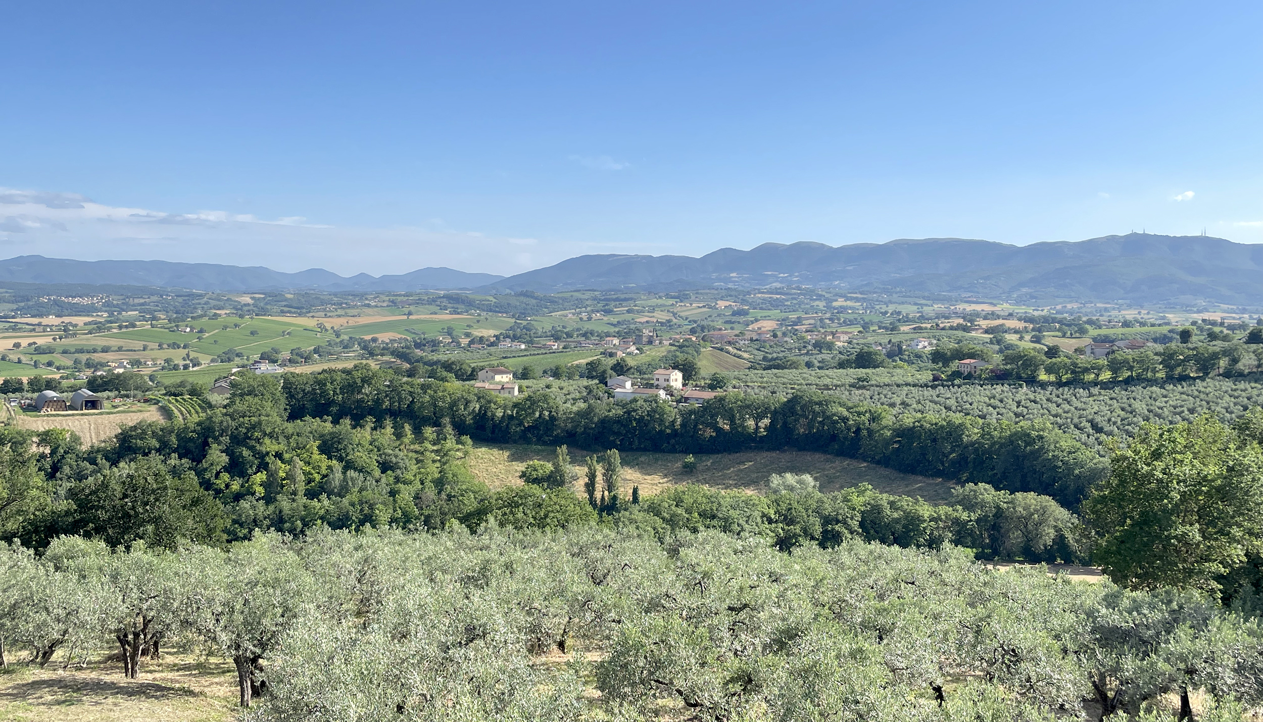 Montefalco reinvents itself | Jancis Robinson