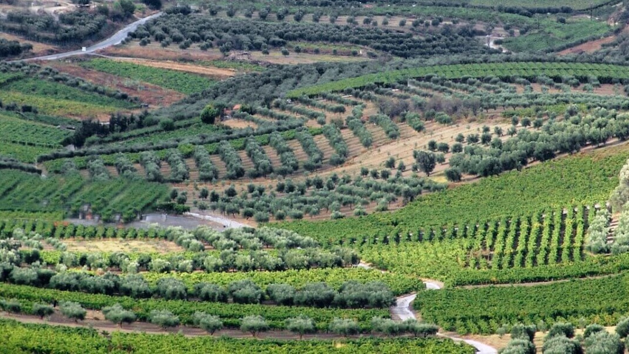 Up-and-coming wine regions worth checking out | Jancis Robinson
