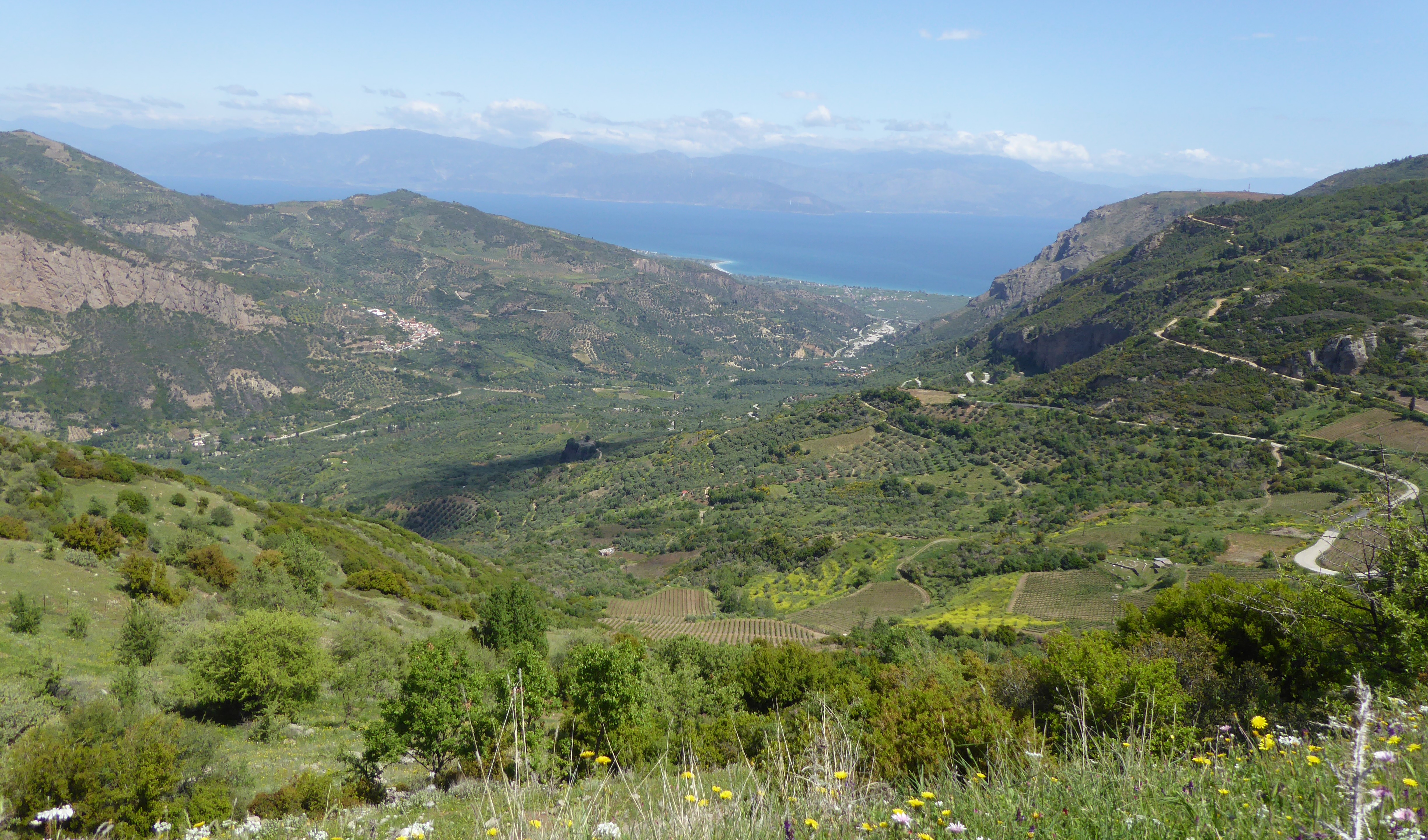 Slopes of Aigialeia – heroic and idyllic | Jancis Robinson