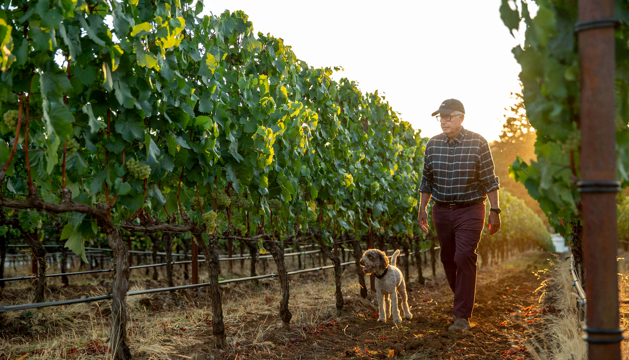 X marks the spot in the Willamette Valley | Jancis Robinson