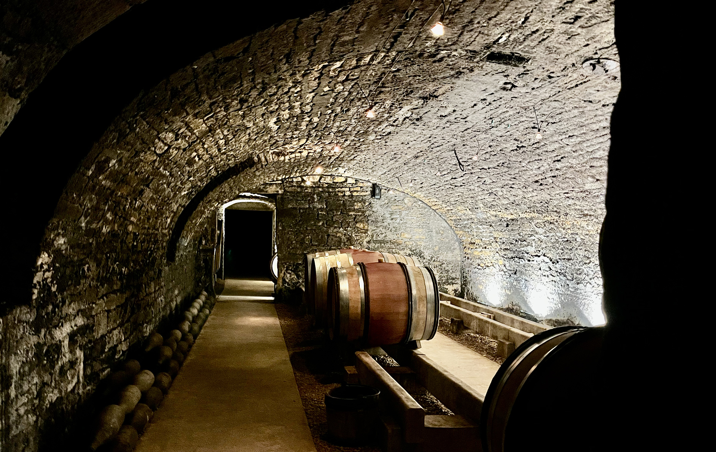 コート・ドール2024 – 苦難の後の概観 | ジャンシス・ロビンソン