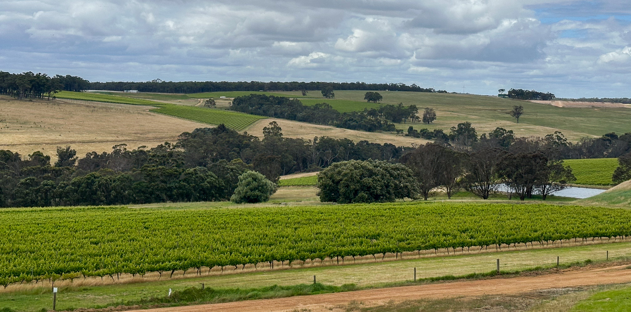 Visiting Great Southern | Jancis Robinson