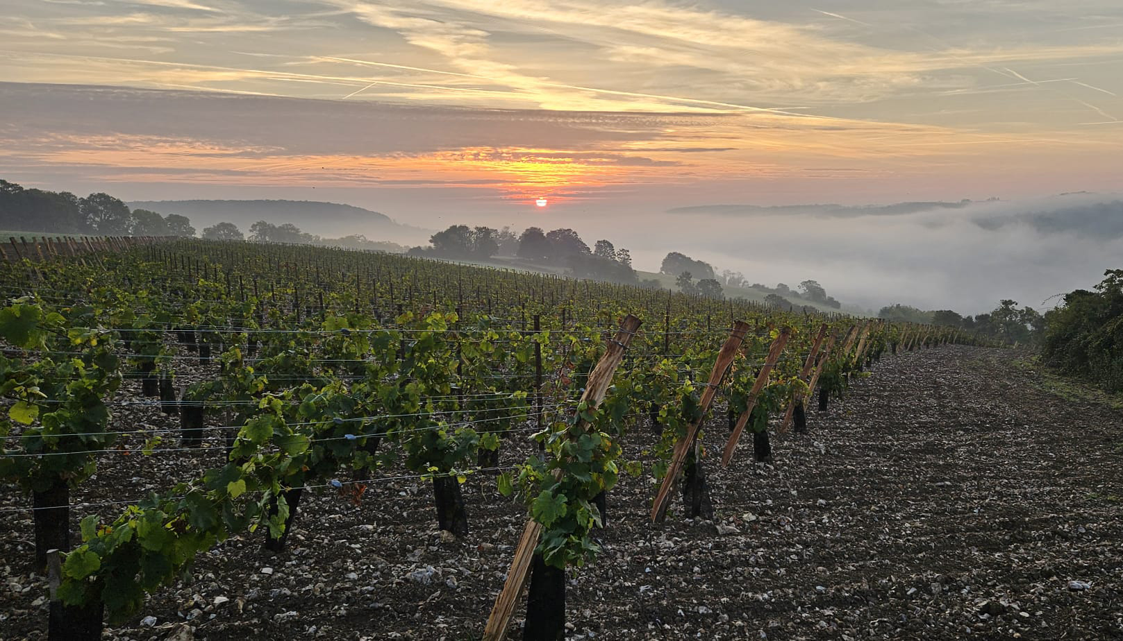 The map is not the terroir – Normandy as a wine region | Jancis Robinson