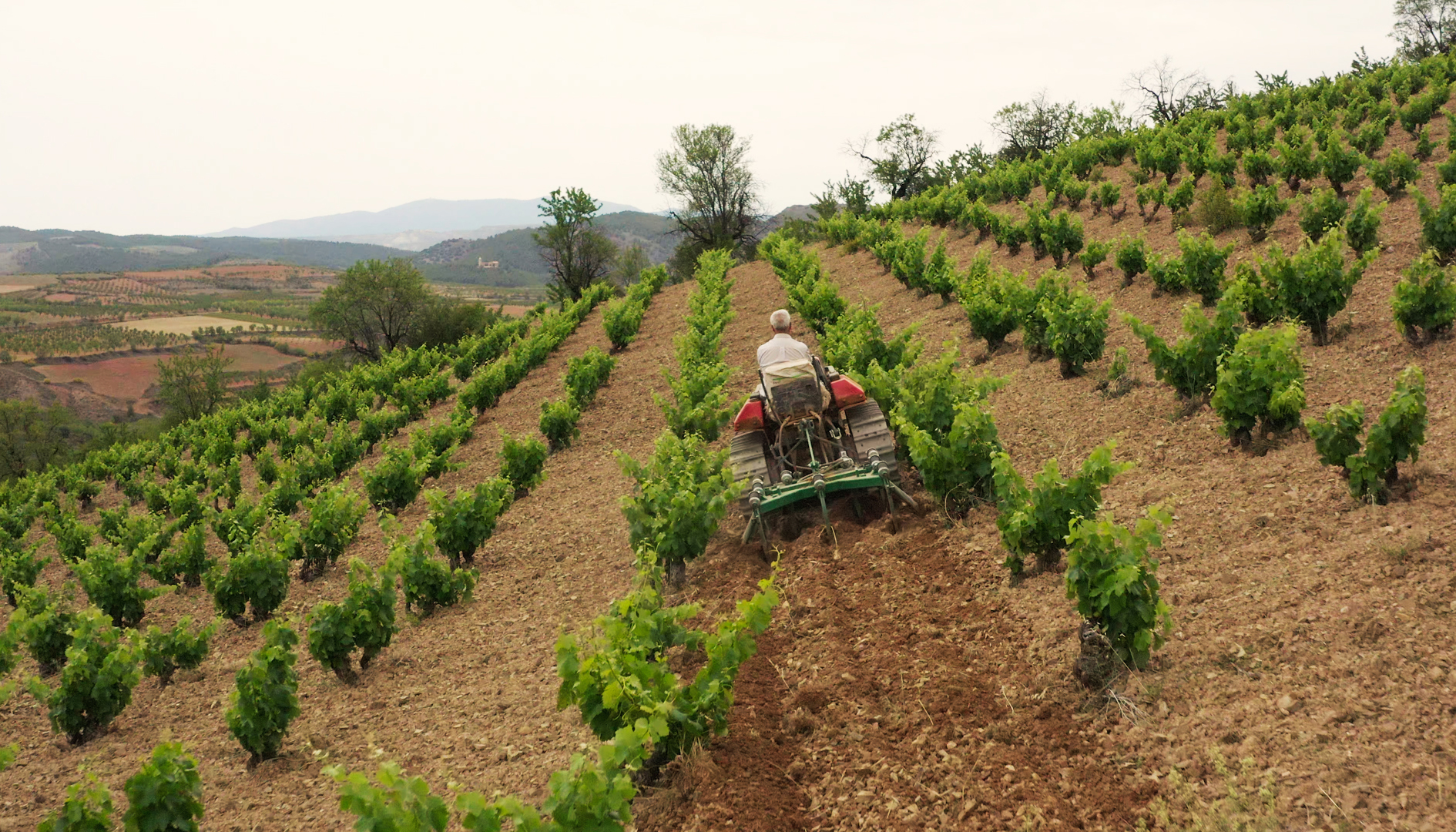 Zaragoza, land of great Garnacha | Jancis Robinson