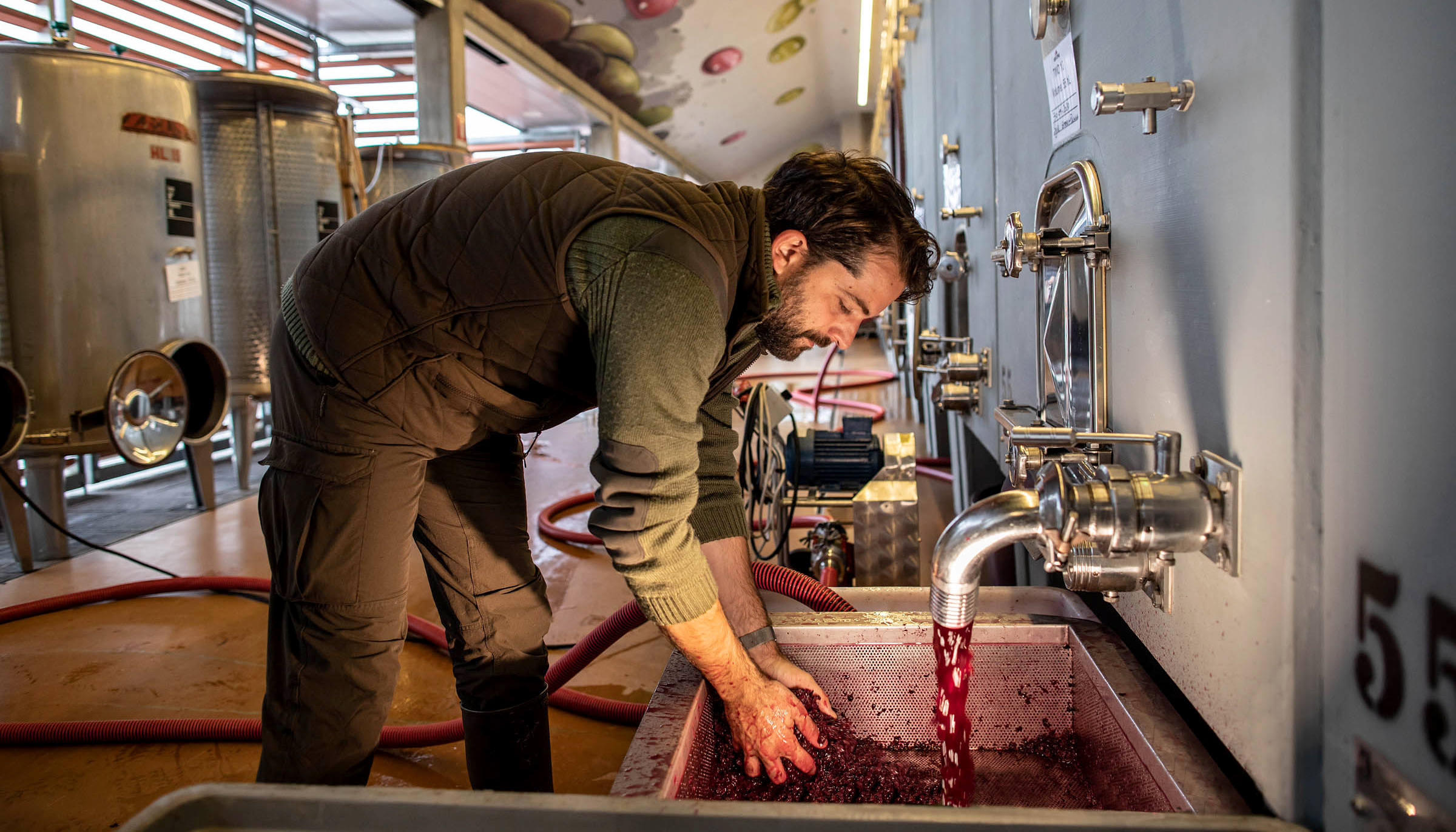 Chianti Classico 2022 – Riserva v Gran Selezione | Jancis Robinson