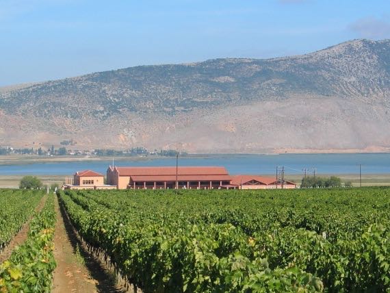 Alpha Estate, Hedgehog Vineyard Xinomavro 2010 Amyndeon | Jancis Robinson