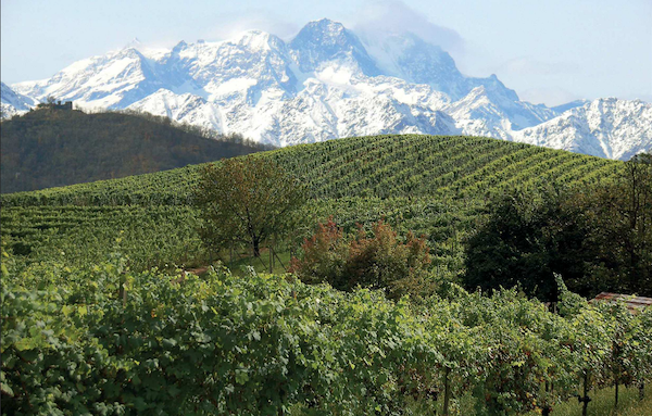 Alto Piemonte – please try harder | Jancis Robinson