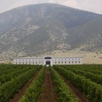 Greece backs indigenous varieties | Jancis Robinson