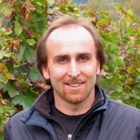 Erbaluce – grape discovery of the year | Jancis Robinson