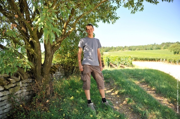 Domaine Georges Lignier, Morey St Denis | Jancis Robinson