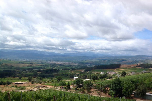 Bierzo explained | Jancis Robinson