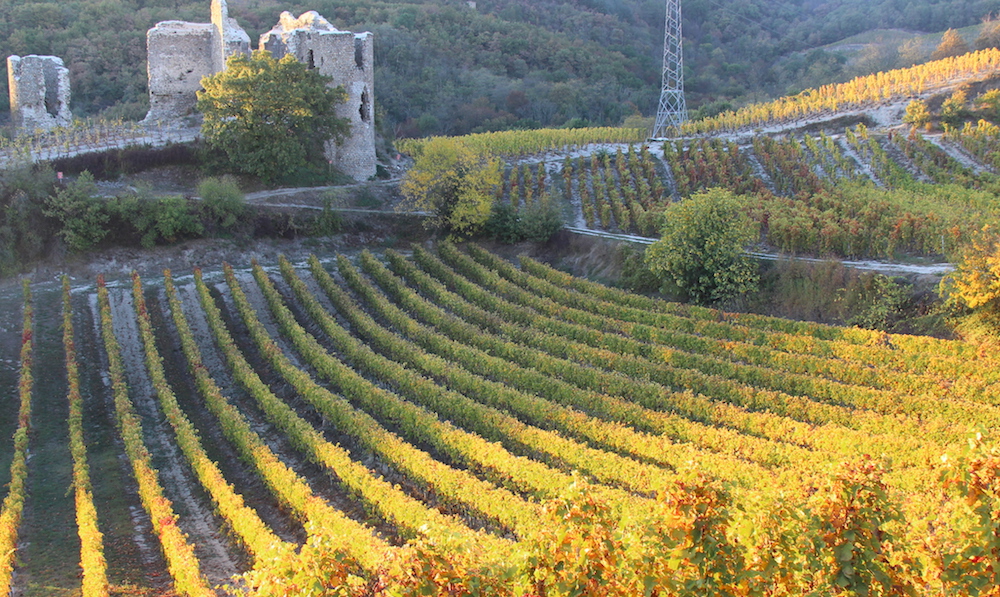 Rhône 2016 – an overview of the north | Jancis Robinson