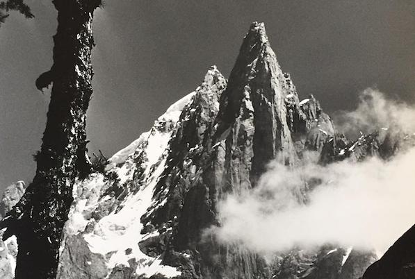 Competition – Geoffrey Dunn | Jancis Robinson