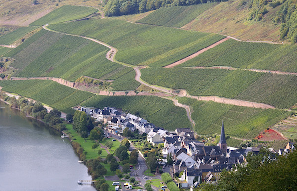 WWC 6 – Rev Robert Stanier | Jancis Robinson