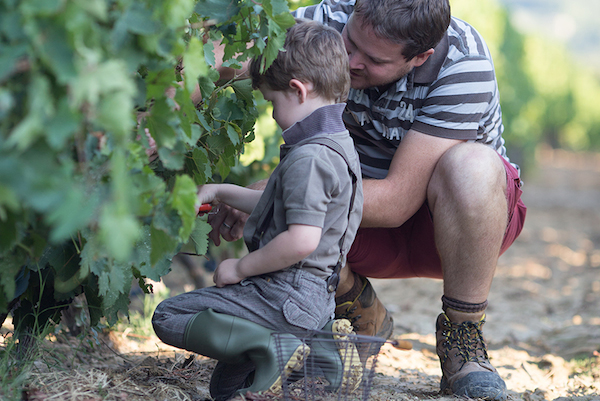 WWC 3 – Ian Renwick | Jancis Robinson