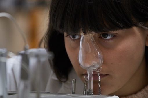 Microbial terroir – current research round-up | Jancis Robinson