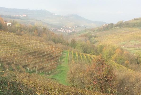 Barolo 2015 – concentration, balance and mysterious freshness | Jancis ...