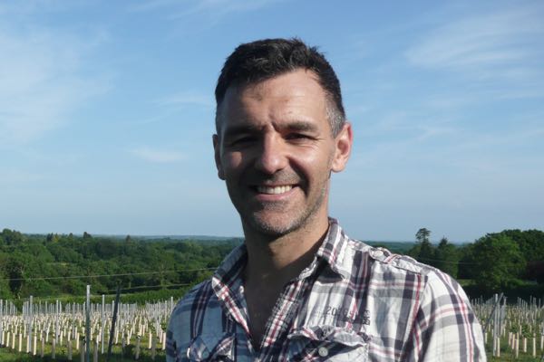 Co-ordinator appointed for English wine research | Jancis Robinson